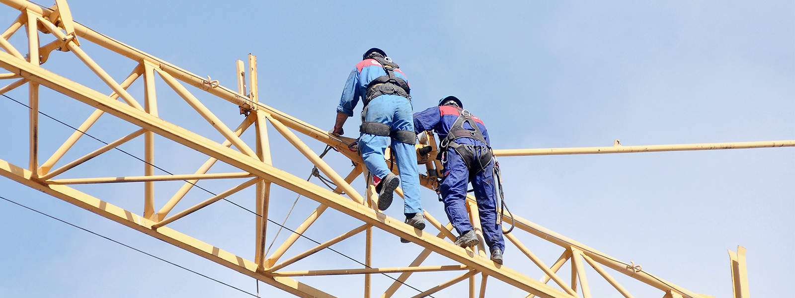 basic-rigging - IFAP